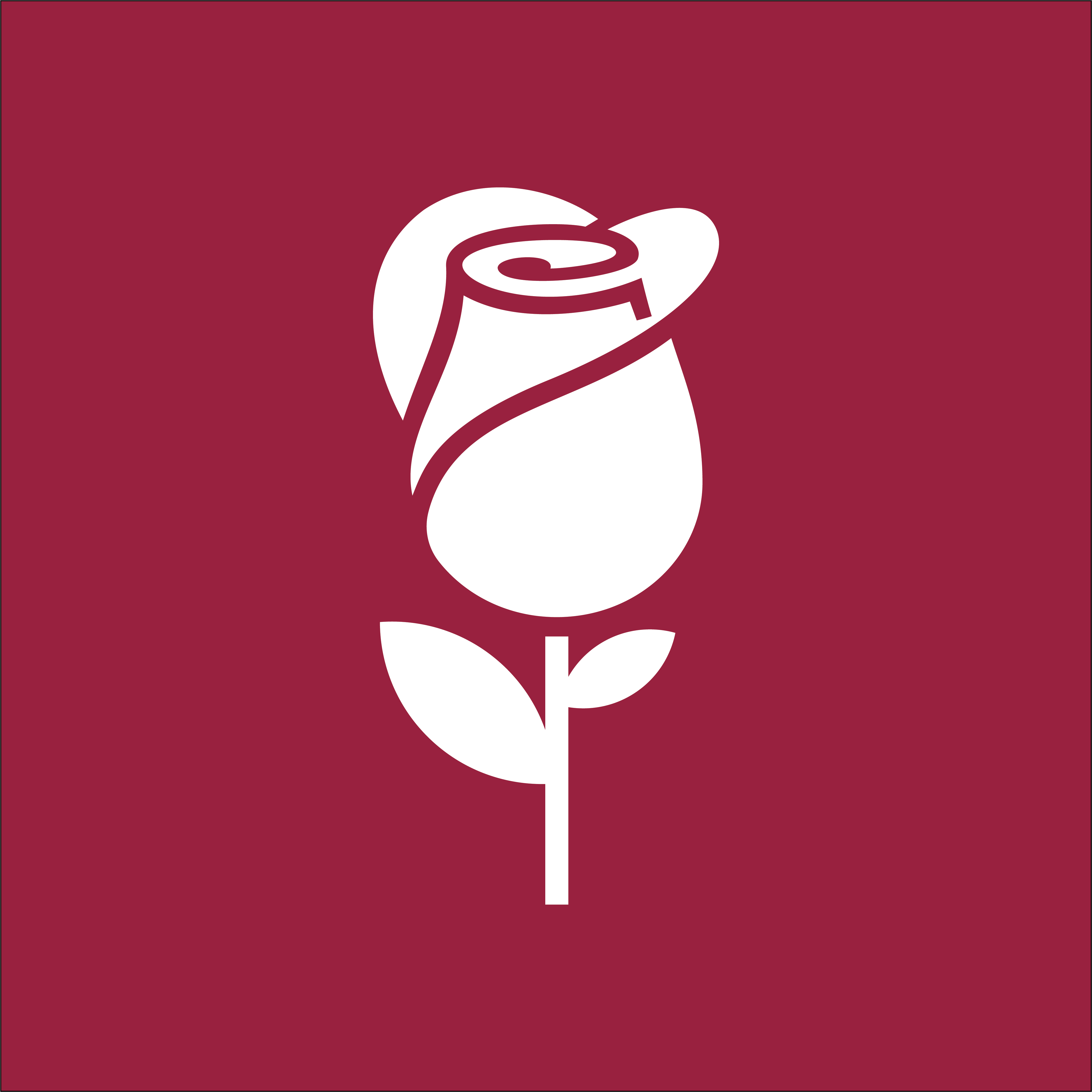 Pépinière.ca | Rosier grandiflora 'Honey Dijon'