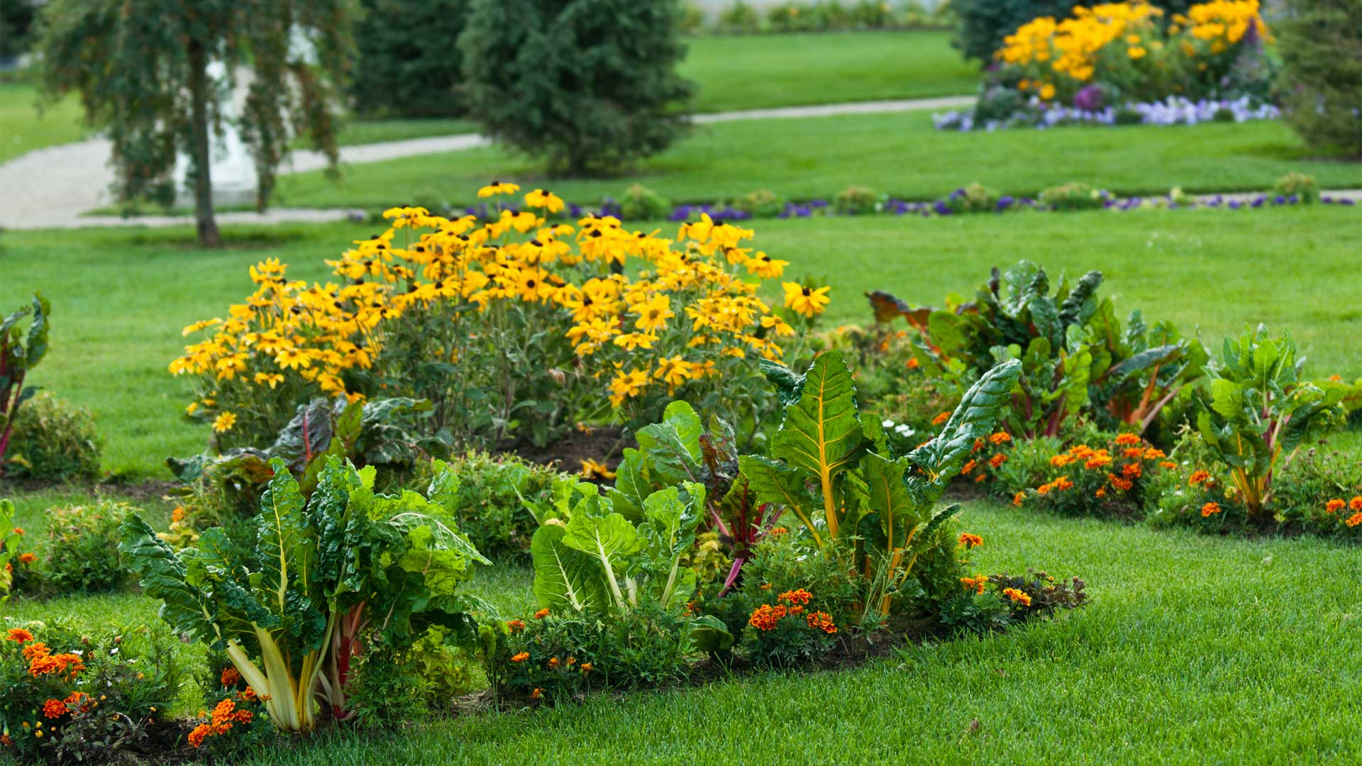 Créer une plate-bande comestible en y ajoutant légumes et fines herbes ...