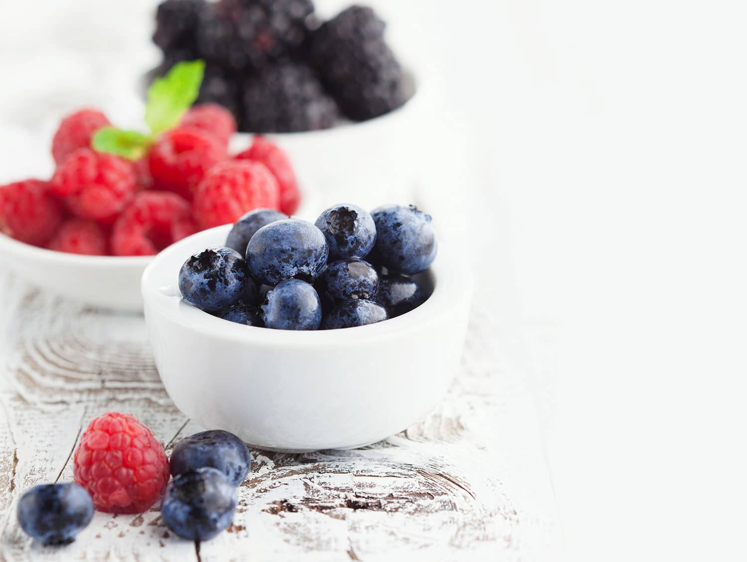 Cultiver des petits fruits : le bonheur au bout des doigts – Pépinière.ca