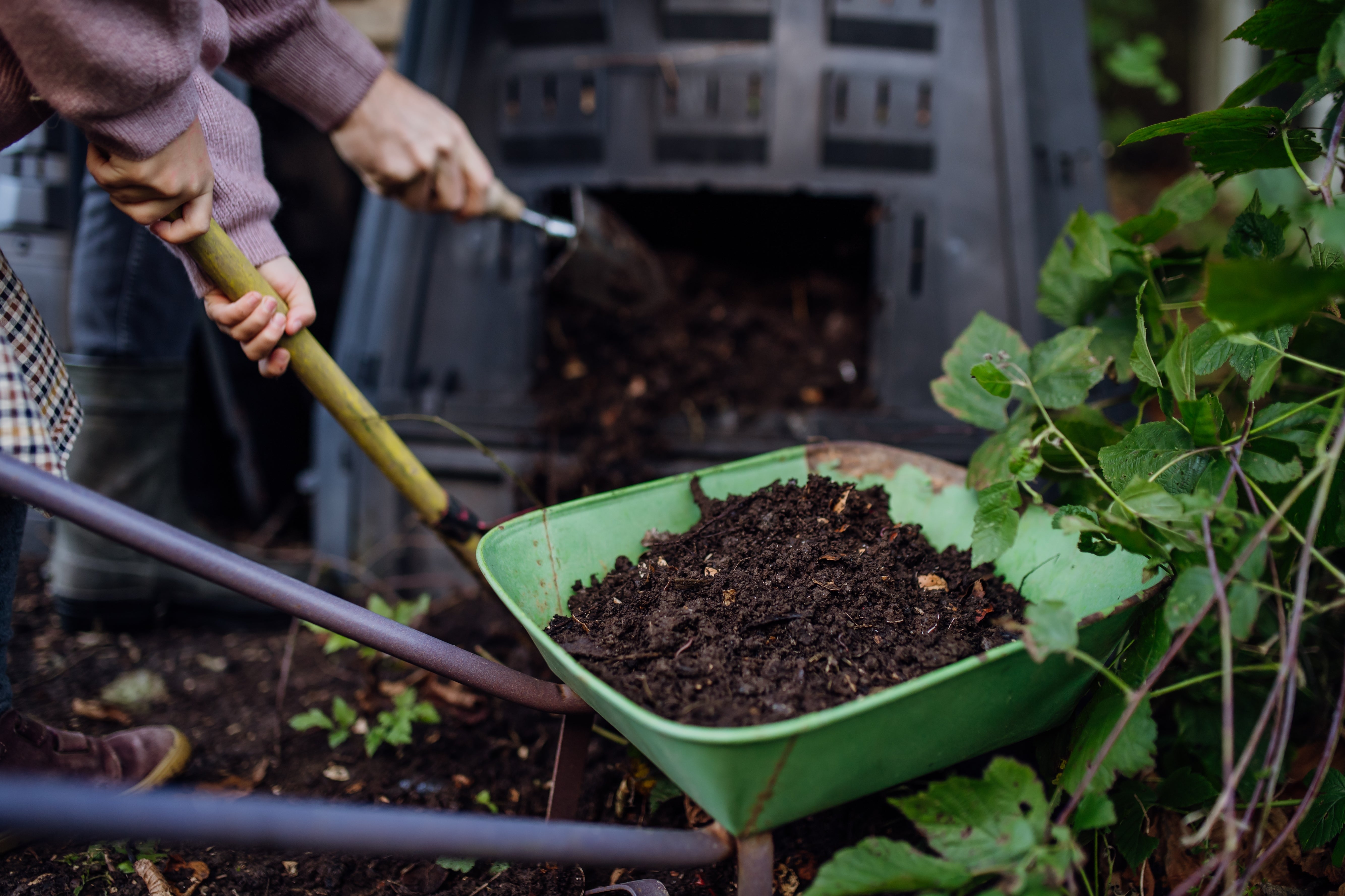 Les meilleurs engrais naturels pour un potager sain et abondant ...