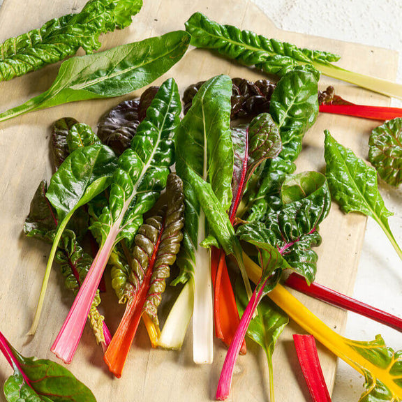 OSC Seeds | Bright Lights Swiss Chard - Vibrant and Delicious ...
