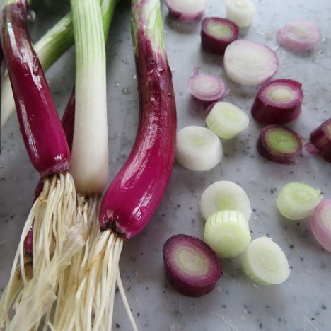 Oignon à botteler 'Rouge et Vert' bio – Récolte prolongée et rusticité ...