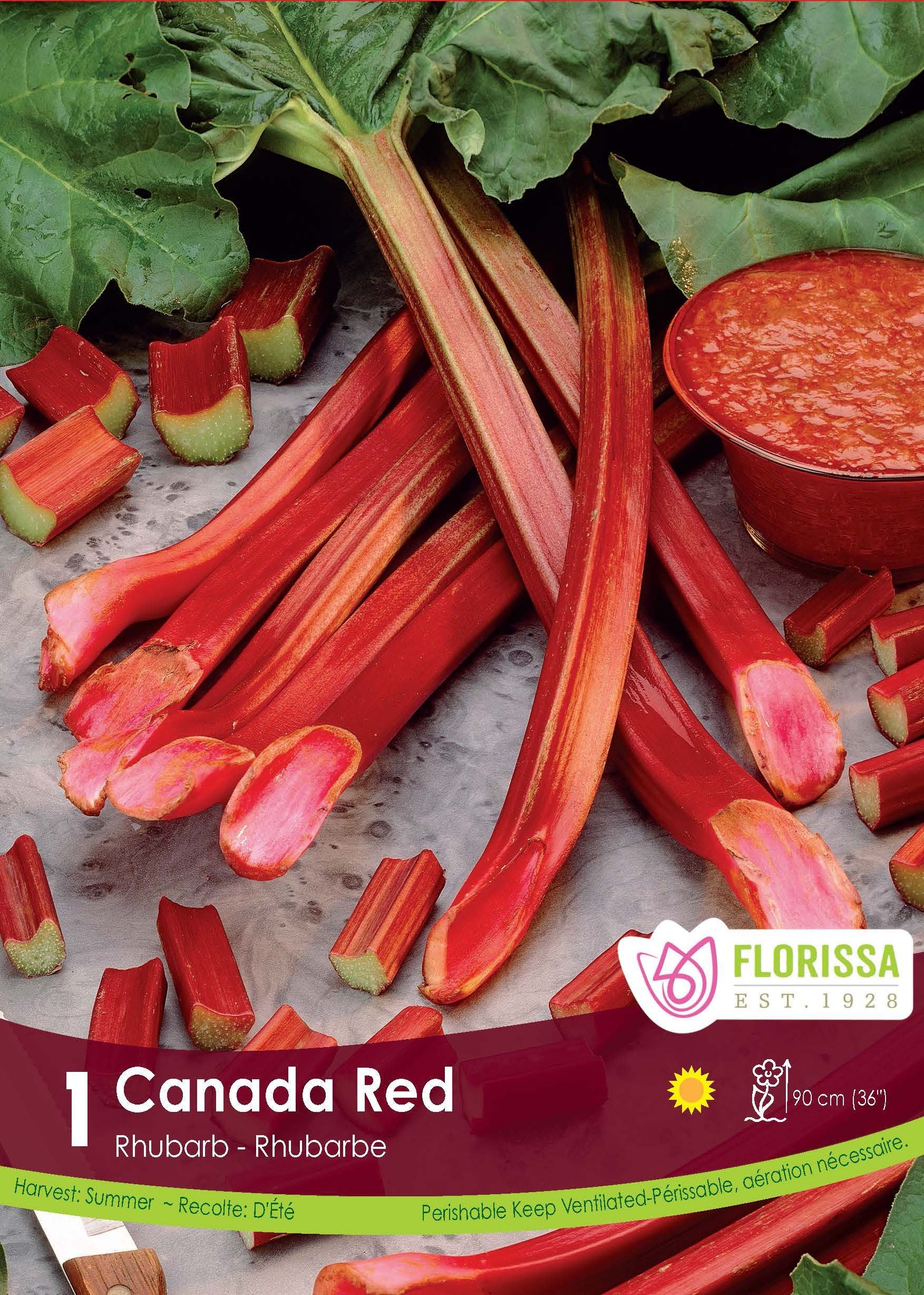 Pepiniere.ca | Rhubarb 'Canada Red' (1 plant) – Pépinière.ca