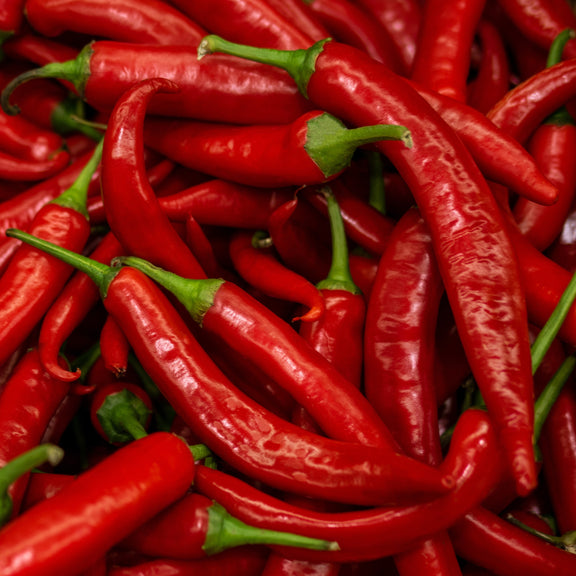 Northern Wildflowers Seeds | Capsicum annuum (Long Red Cayenne Pepper ...
