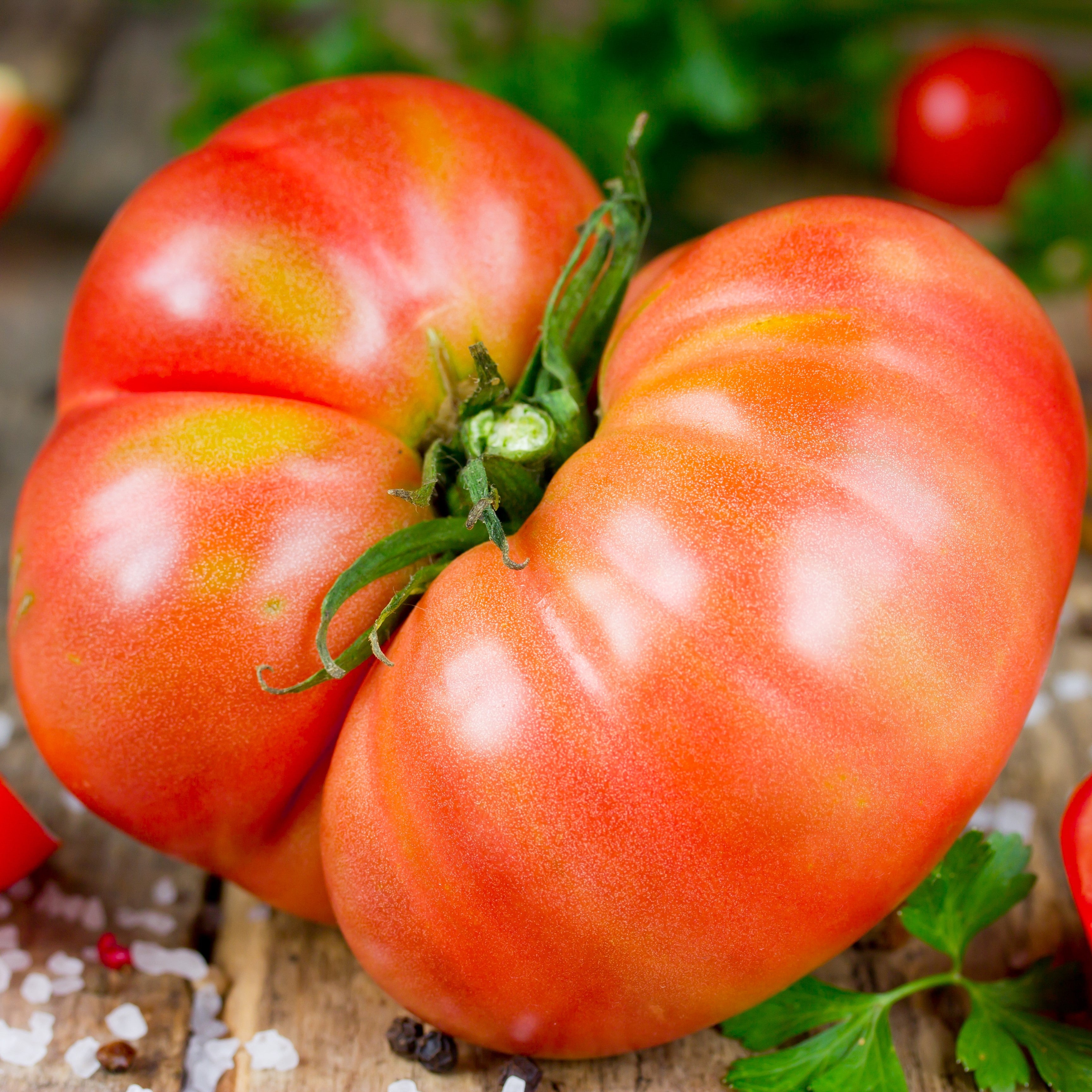 OSC Seeds | Tomato Seeds 'Big Beef' – Productive Beefsteak Variety ...
