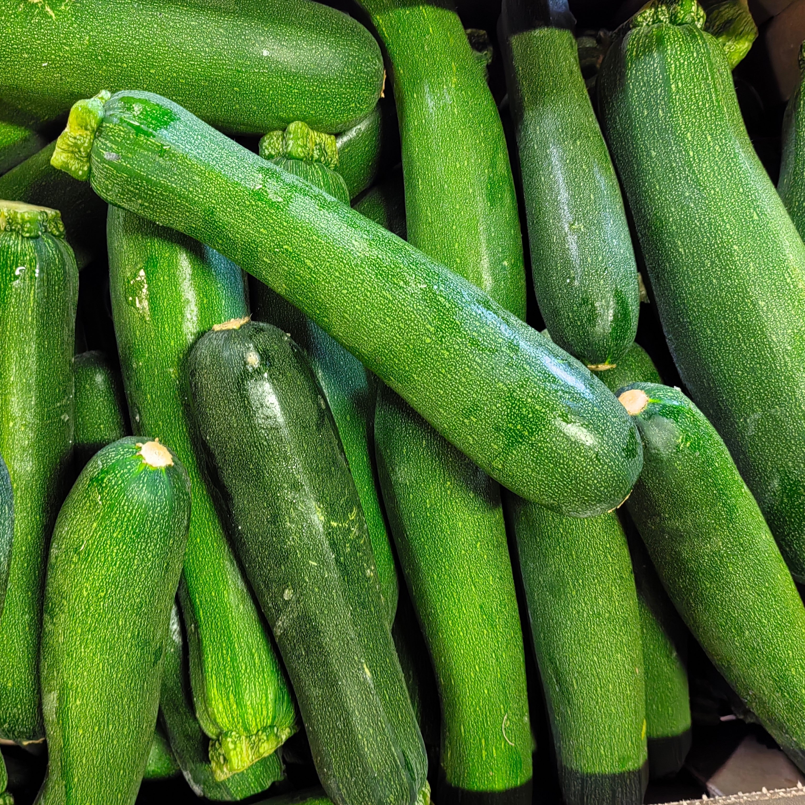 WH Perron Seeds | Hybrid Zucchini Squash 'Green Machine' – Pépinière.ca