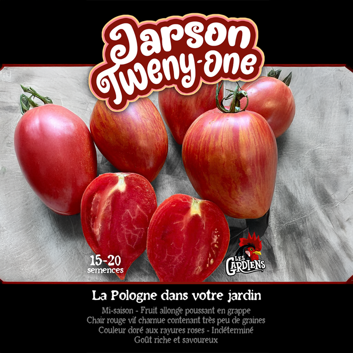 Les gardiens ferme alternative | Tomato 'Jarson Twenty One' – Pépinière.ca