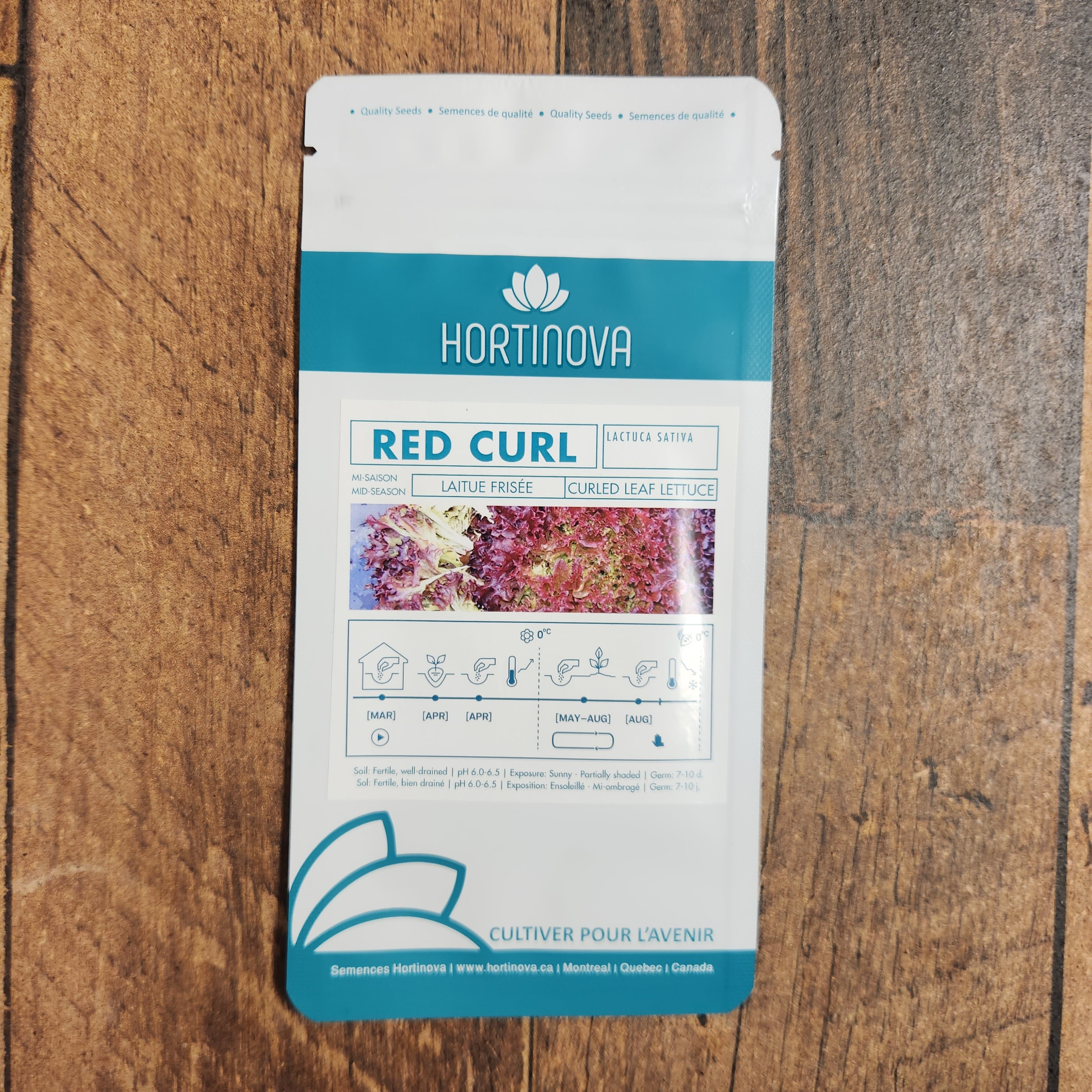 Hortinova | Laitue frisée rouge – Pépinière.ca
