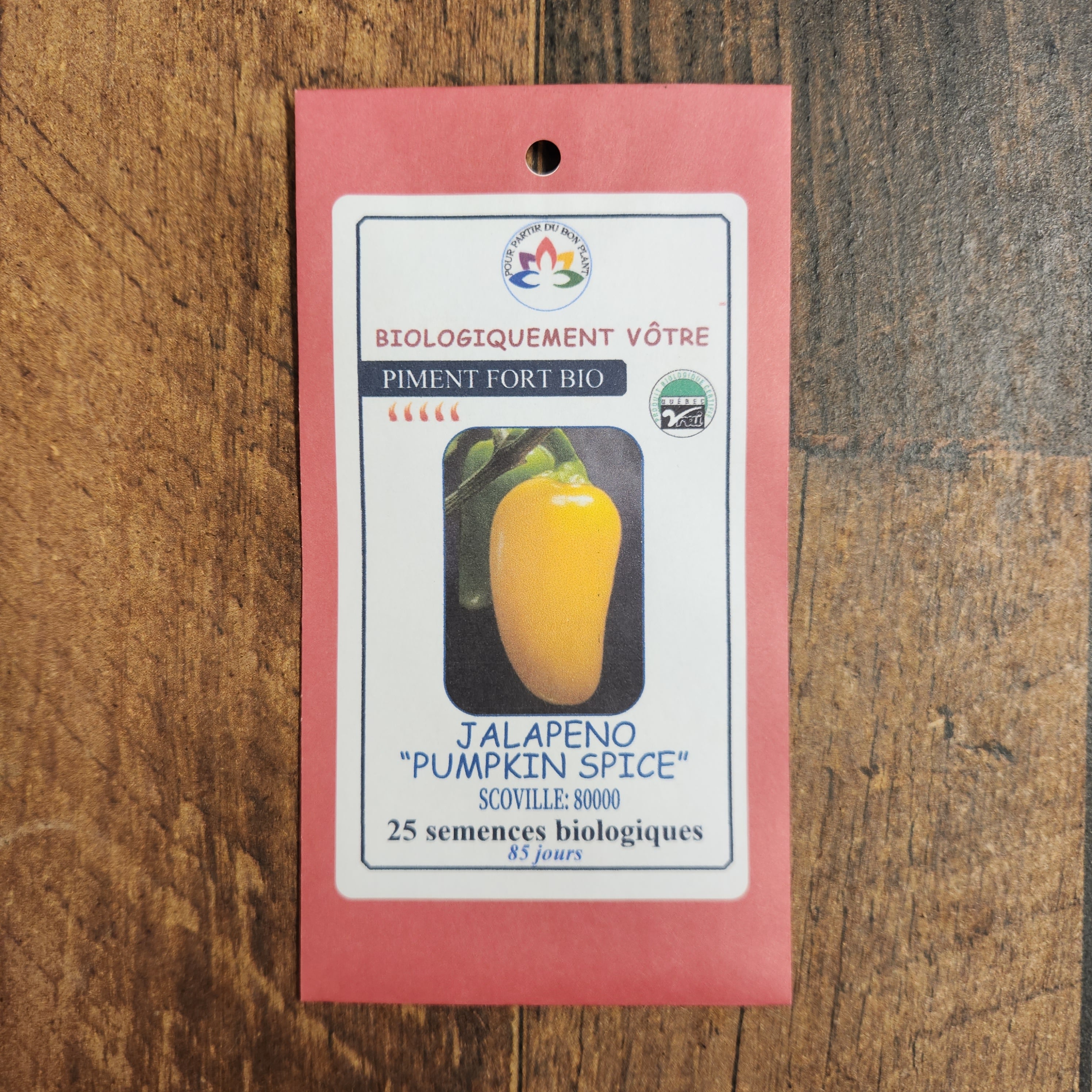 Biologiquement vôtre | Piment fort 'Jalapeno Pumpkin Spice' bio ...