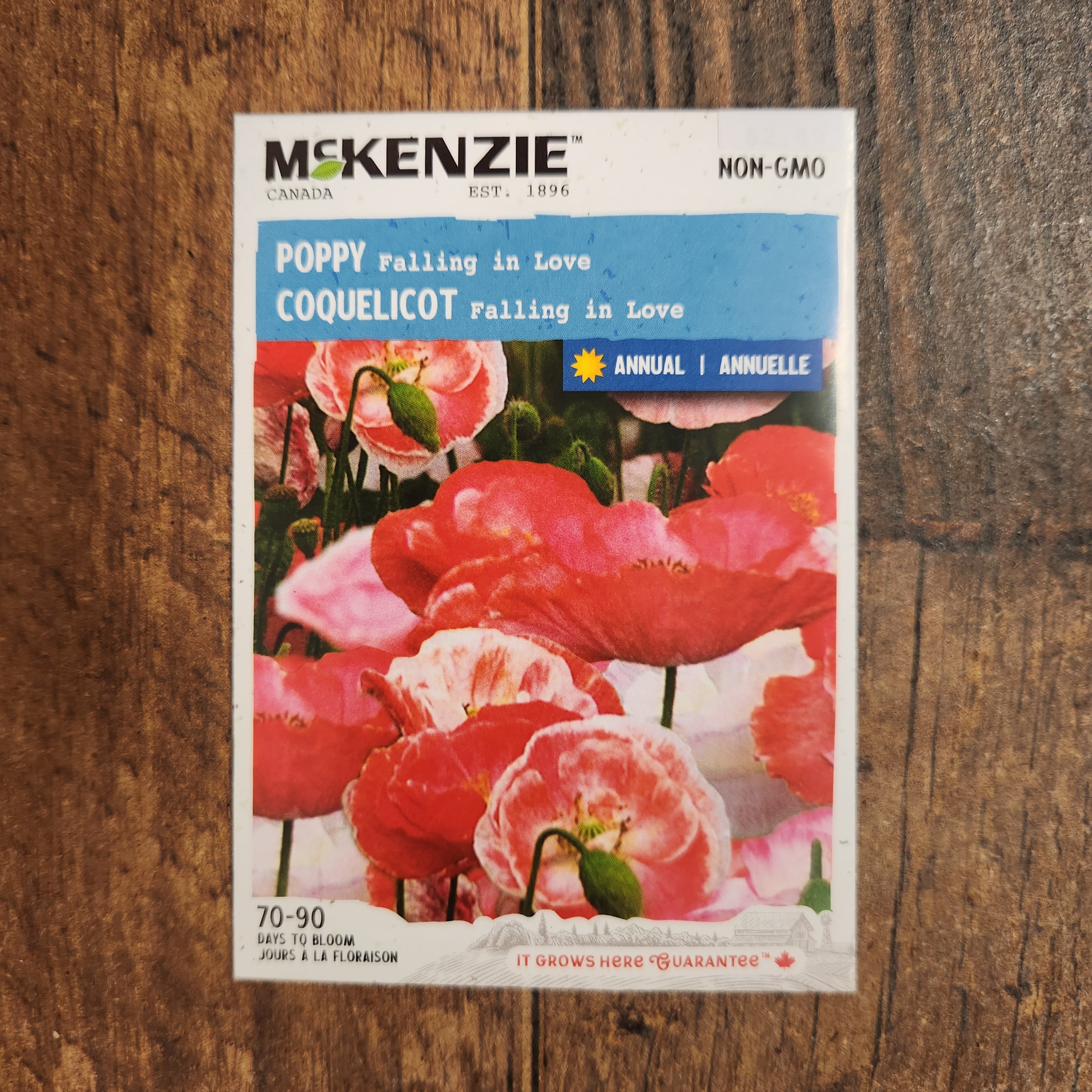 Poppy 'Falling in Love' – Romantic bloom for a country garden ...