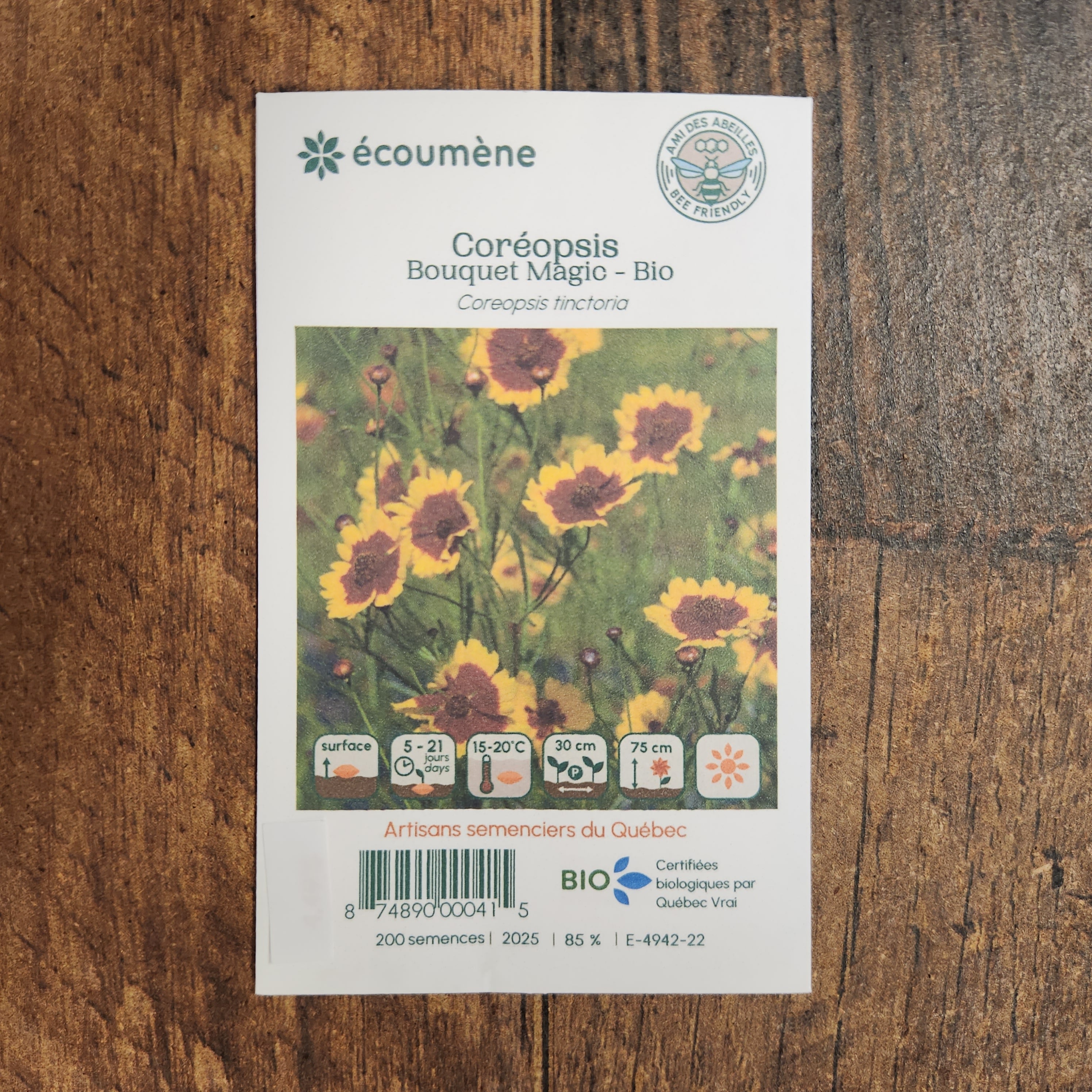 Les Jardins de l'Écoumène | Coréopsis Bouquet Magic bio – Pépinière.ca