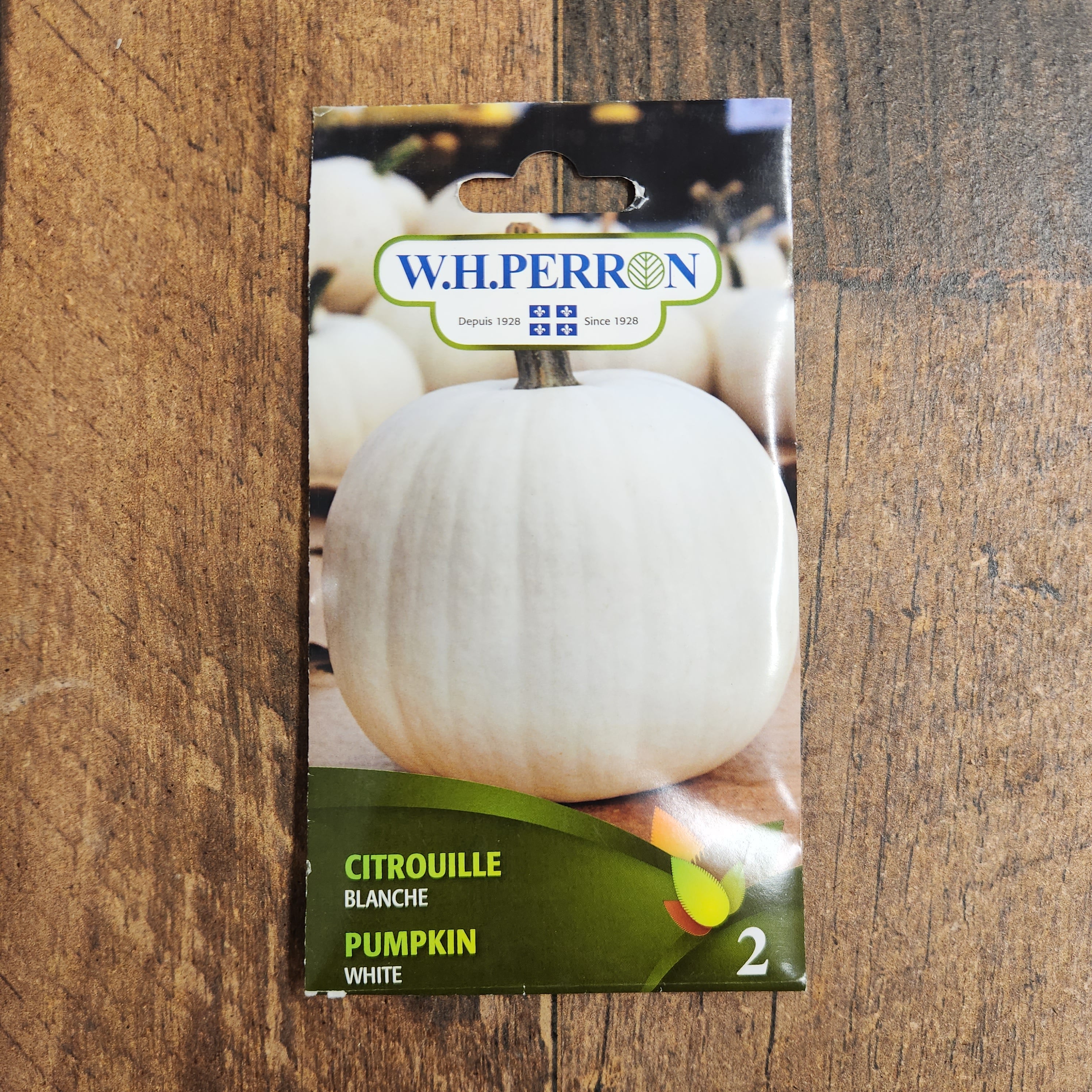 Semences W.H Perron | Citrouille 'Blanche' – Pépinière.ca